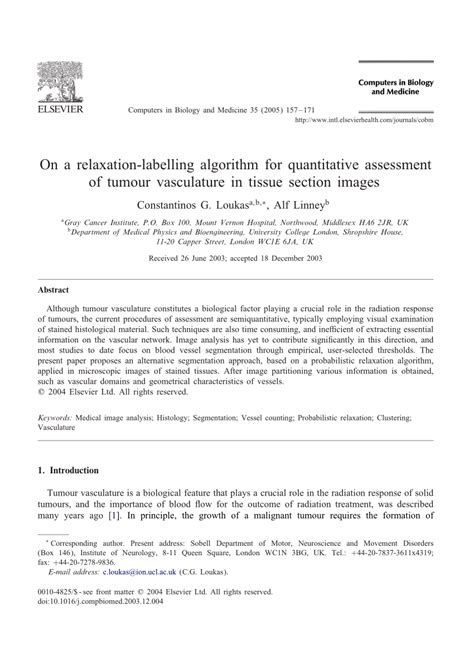 Pdf On A Relaxation Labeling Algorithm For Quantitative Assessment Of Tumour Vasculature In