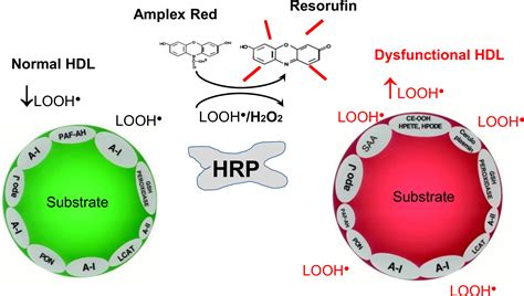 Fluorometric Peptide Assay At Patrick Jefferson Blog