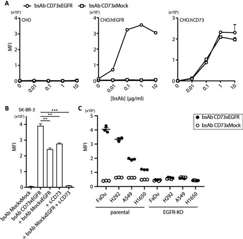 Bispecific Antibody Cd73xegfr More Selectively Inhibits The Cd73