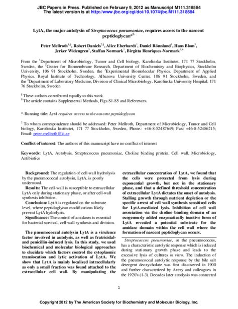 Pdf Lyta Major Autolysin Of Streptococcus Pneumoniae Requires
