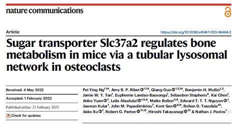 湘雅三医院骨科郭强医师揭示破骨调控新机制 中南大学新闻网门户网站