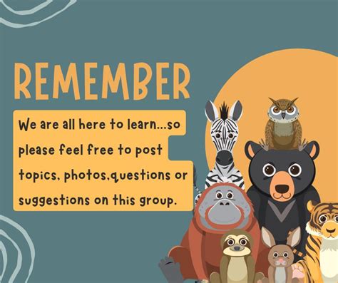 Dr Michele Broadhurst Functional Health Solutions Coppell Tx