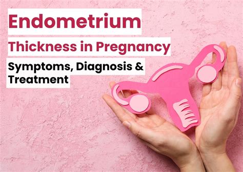 Endometrium Thickness In Pregnancy Symptoms Diagnosis And Treatment