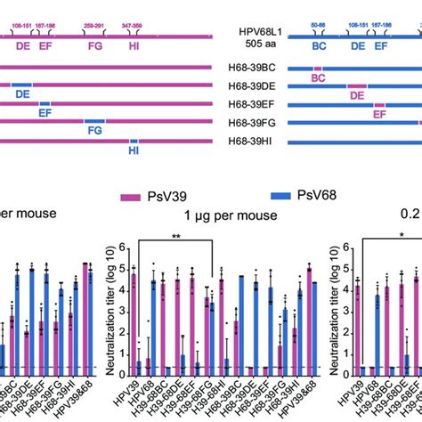 Immunogenicity Of H39 68 And H68 39 Chimeric Vlps A Schematic