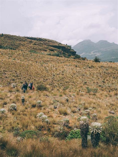Paramo De Ocetá Una Caminata Inolvidable 2025 Blog De Viaje Por