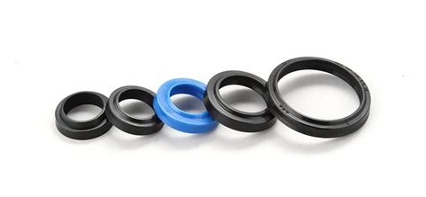 Mpw Series Oil Seal Hydraulic Seal Leading Seals Suppliers