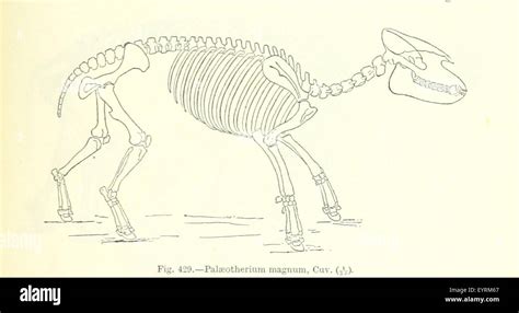 The Image Shows A Page From A Geology Textbook Illustrating Key