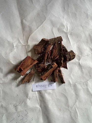 Dried Kachnar Chhal Packaging Size 1 Kg At ₹ 250kg In Jaipur Id 2855681659348