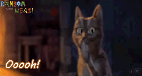 Ohhh Cat Meme