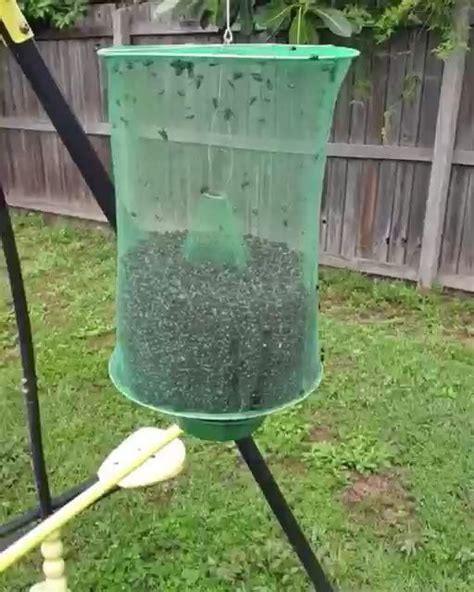 2x Stable Fly Trap Bundle For Effective Fly Control