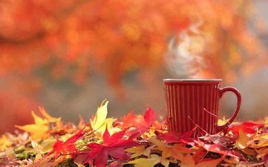 Coffee Cup On Autumn Leaves
