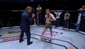 Conor Mcgregor Walk S Find And Share On Giphy