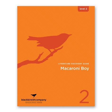 Macaroni Boy Guide Blackbird And Company