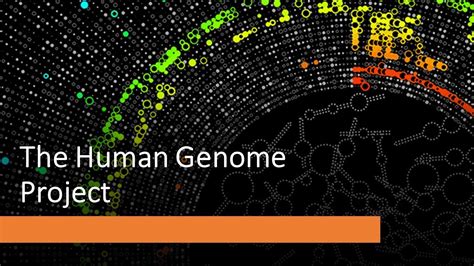 Human Genome Project Logo