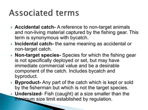 Bycatch Reduction Devices Pptx