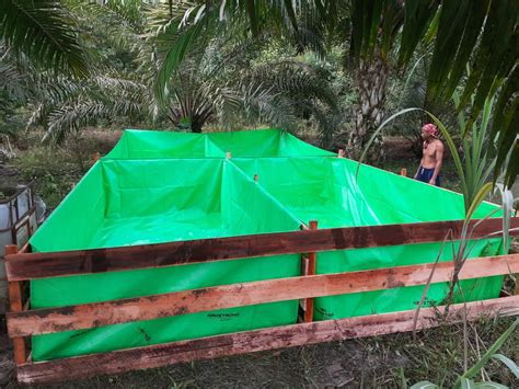 Desa Pedalaman Kecamatan Tayan Hilir Sanggau