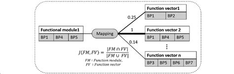 Mapping A Function Module To A Function Vector Functional Module 1