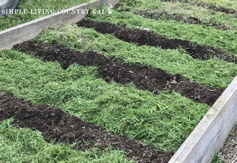 How To Prepare A Raised Garden Bed Simple Living Country Gal