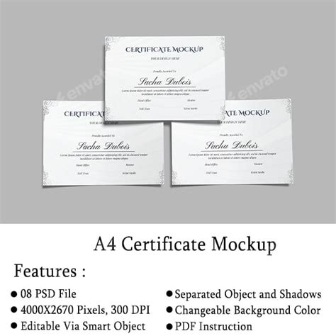 Certificado Graphics And Vectors Graphicriver