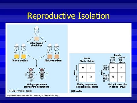 Reproductive Isolation Examples Reproductive Isolation Examples