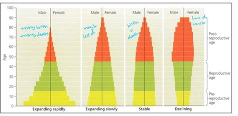 Biol 381 Human Population Flashcards Quizlet