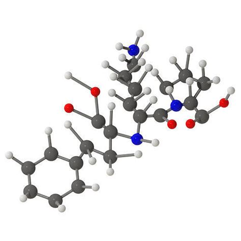 Lisinopril Molecular Structure 3d Model 3d Printable Cgtrader