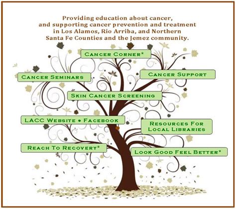 Palliative Care What Is That The Walk Your Talk Coach