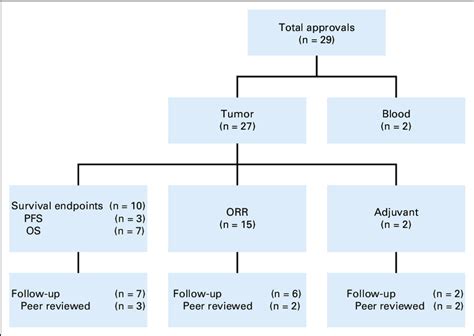 Research Population Food And Drug Administration Immuno Oncology Download Scientific Diagram