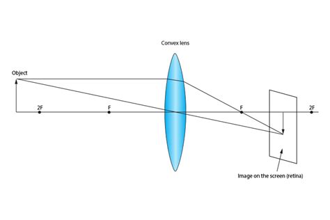 Convex And Concave Mirrors And Lenses