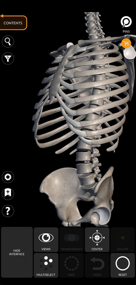 Learn About Human Anatomy In D With These Apps