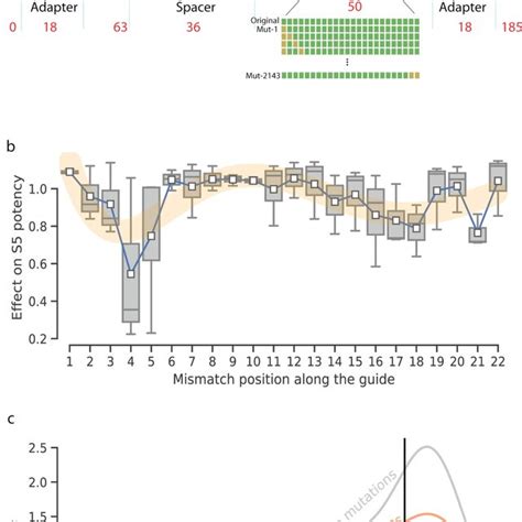 Saturation Mutagenesis A The Design Scheme Of Oligos Used In This Download Scientific Diagram