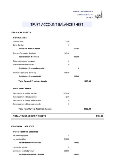 Trust Account Balance Sheet Fiduciary Assets Curent Assets Pdf