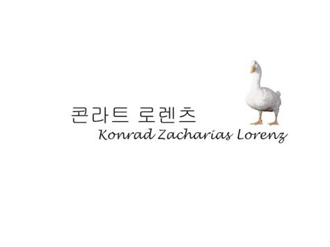콘라트로렌츠