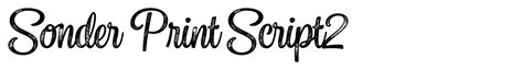 sonder font webfont and desktop myfonts