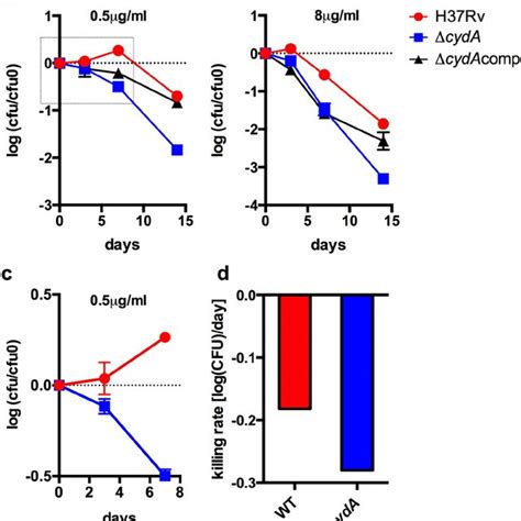 Killing Assay With 05 ␮ Gml A Or 8 ␮ Gml B Bdq Comparing The H37
