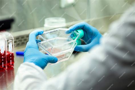 Premium Photo Cell Culturing At The Biology Medicine Cell Culture And