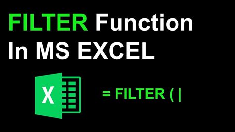 filter function in ms excel youtube