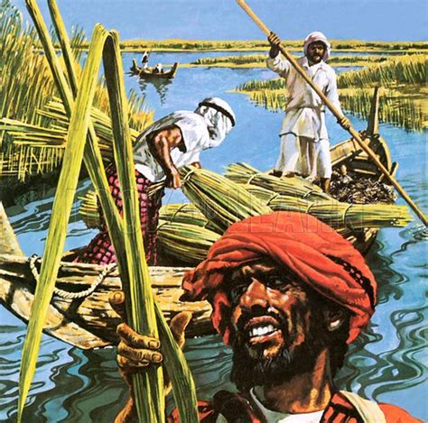 The Ancient Marsh Arabs Of Southern Iraq Historical Articles And