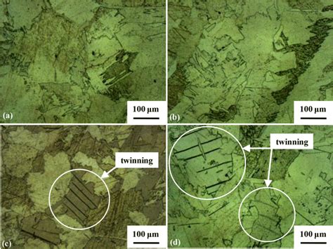 Optical Micrographs Of Fz Of Cross Section Of A B As Welded And C D
