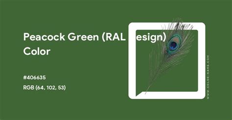 Peacock Green Ral Design Color Hex Code Is 406635 Hex Color Codes