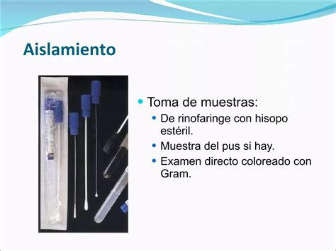 Staphylococcus Streptococcus 2009 Ppt