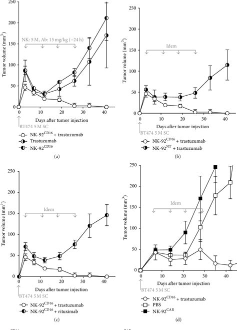 Figure 4 From In Vitro And In Vivo Comparison Of Lymphocytes Transduced