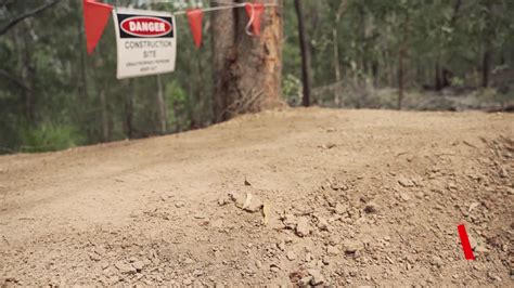 Danielle Lynch Posted On Linkedin