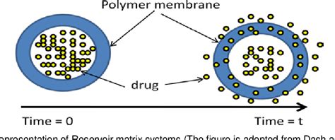 Figure 1 From The Role Of Oral Controlled Release Matrix Tablets In Drug Delivery Systems