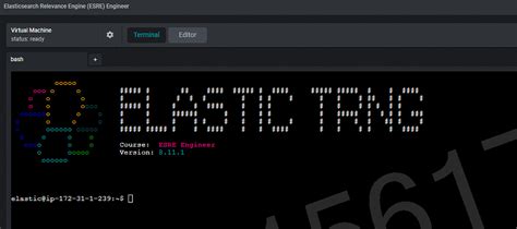 Esre Lab Does Not Show Training Instruction And Kibana Elastic