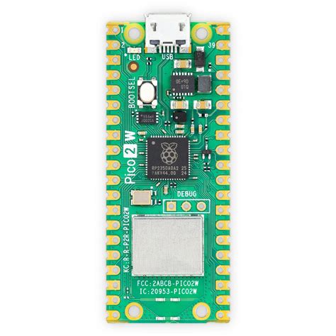 Raspberry Pi Pico 2 W Dev Boards Market