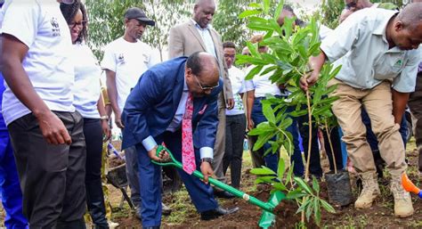 Kieni Climate Initiative Project Unveiled Kenya News Agency