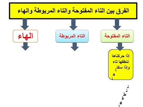 الفرق بين التاء المفتوحة والتاء المربوطة والهاء Youtube