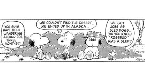 10 Funniest Peanuts Comics Starring Snoopy Dkrisp
