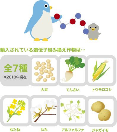 食の“語ちそう”キャッチャー：遺伝子組み換え食品｜ハッピーペンギンアイランド｜ホシザキ株式会社